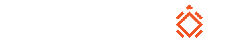 TURTLEBOX: LOUD! Outdoor Waterproof Bluetooth Speakers – Turtlebox ...